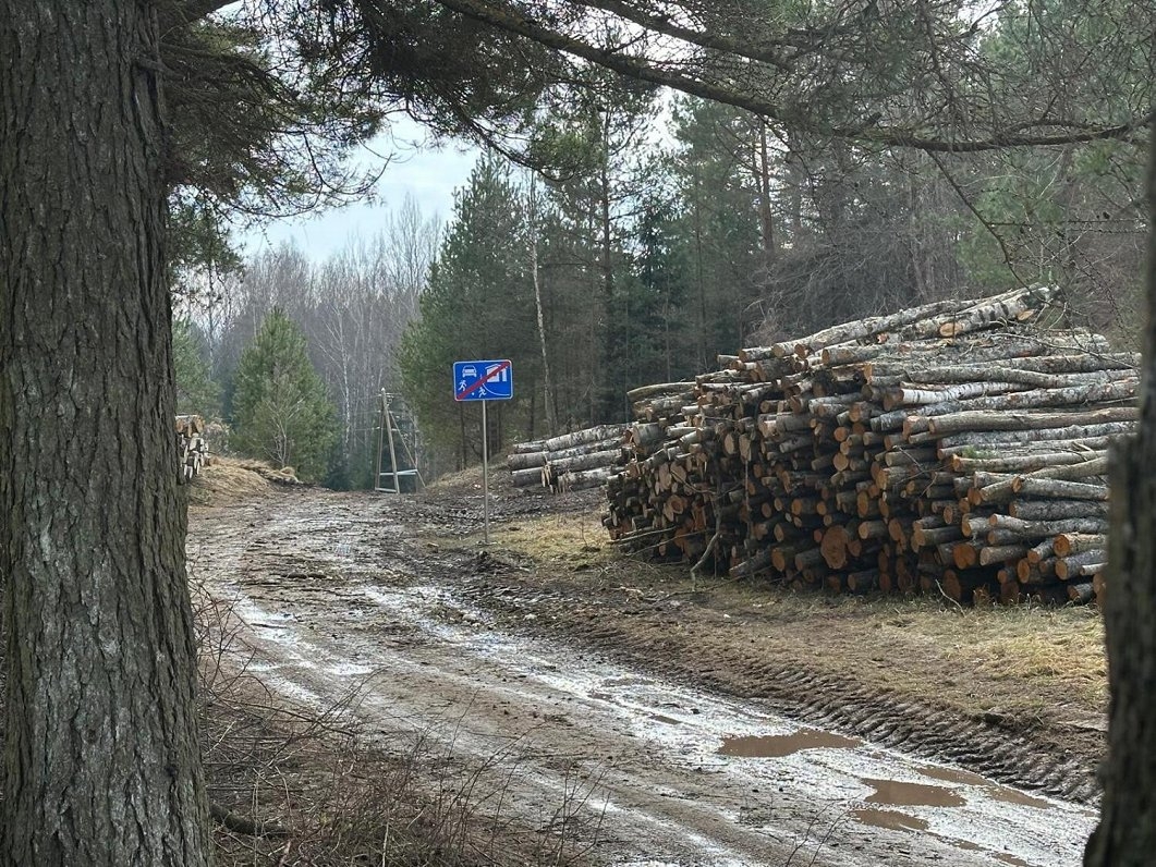 VARAM и БПБК оценивают бесплатные работы в лесу в Резекне - Общество ...
